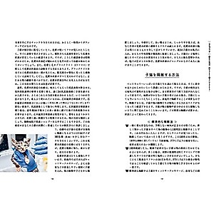 保護猫の育て方