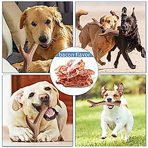 NOUGAT Dog Chew Toy- Dog Toys for Aggressive Chewer- Durable Dog Toys Puppy Teething Chew Toys for Large Size Dogs,Tough Dog Toys Keep Dogs Busy,Suit for Small and Medium Dog,Bacon Flavor (Stick)
