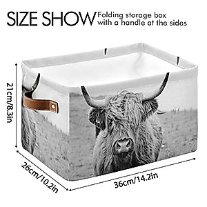 Kigai Highland Cow Storage Baskets Rectangle Foldable Canvas Fabric Organizer Storage Boxes with Handles for Home Office Decorative Closet Shelves Clothes Storage