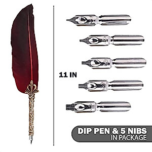 Feather Quill Pen Ink Set - Calligraphy Dip Pen Set Fountain Pen Ink Red Feather Pen Display Case with Inkwell and Stand - Quill Pen Set with 5 Stainless Steel Pen Nib Set for Writing Paper, Letter