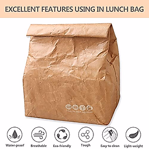 Hangnuo 2 Pack Insulated Brown Paper Lunch Bags Reusable, Retro Lunch Sacks for Adults Work Office, Brown Paper - 10" x 8" x 4.3"