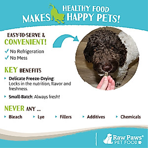 Raw Paws Freeze-Dried Green Beef Tripe for Dogs & Cats, 8-oz - Made in USA - Raw Freeze Dried Dog Treats - Free-Range Cows - Grain & Wheat Free Beef Green Tripe Cat Treats - Raw Tripe Treats for Dogs
