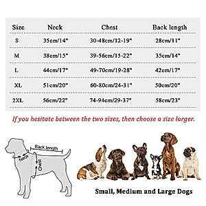 TVMALL Dog Cooling Vest Breathable Mesh Dog Jacket Summer Cool and Comfortable Dog Coat Adjustable with Reflective Strip Pet Clothes Suitable for Large Medium and Small Dogs (S, New-Blue)