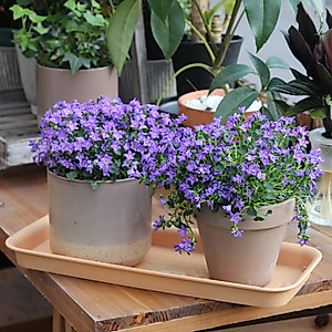 BangQiao 18 Inch Plastic Rectangular Planter Pot Saucer Tray for Indoor and Outdoor Plants, Pack of 3, Terracotta