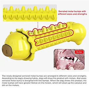 Pet Dog Chew Toys Multifunctional Chewer Training Tooth Cleaning Pet Molar Toy Puppy Dental Care for Dog Pet Accessories-B