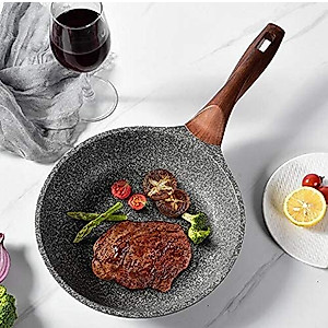 Caannasweis 9.5 Inch with Lid Nonstick Frying Pan Skillet Induction Compatible Stone Cookware Chef's Pan Healthy Egg Omelette Pan PFOA Free