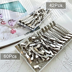 Silver Metal Duck Billed Hair Clips Set - Alligator Roller Clips for Women's Long Hair Sectioning and Pin Curls, with Case