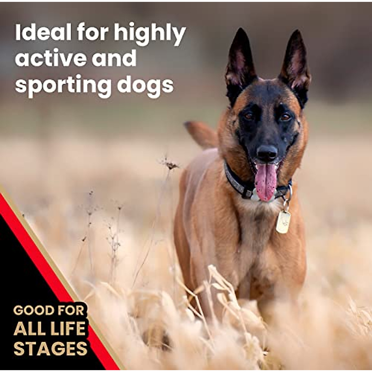 Victor Super Premium Dog Food – High Energy Dry Dog Food for Active Dogs – Gluten Free Dog Food with Beef and Chicken Meal Proteins for Sporting Dogs – All Breeds and All Life Stages, 40 lb