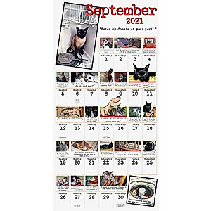 Bad Cat Wall Calendar 2021