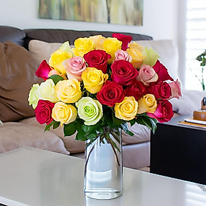 50 Assorted Roses- Two Beautiful Colors- Fresh Cut Flowers (OM)