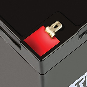 ExpertPower 6V 10AH Sealed Lead Acid (SLA) Battery with F1 Terminal