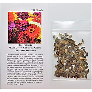 David's Garden Seeds Flower Zinnia Mixed Colors California Giants FBA-0009 (Multi) 200 Non-GMO, Heirloom Seeds