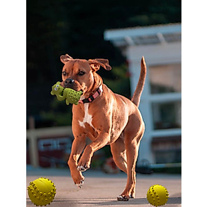 LQZHYL Dog Chew Toys 3 Pack for Aggressive Chewers, Rubber Dog Toys,Multifunctional Teeth Cleaning and Gum Massage, Tough Toys with Natural Rubber for Large and Medium Dog (Greens)