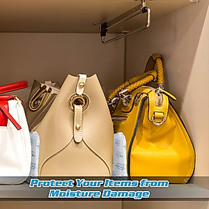 SurpOxyLoc 20 Gram(50Packs) Food Grade Silica Gel Packs Dessicant Packets for Moisture Control,Cobalt Chloride Free Moisture Absorbers for Food Storage