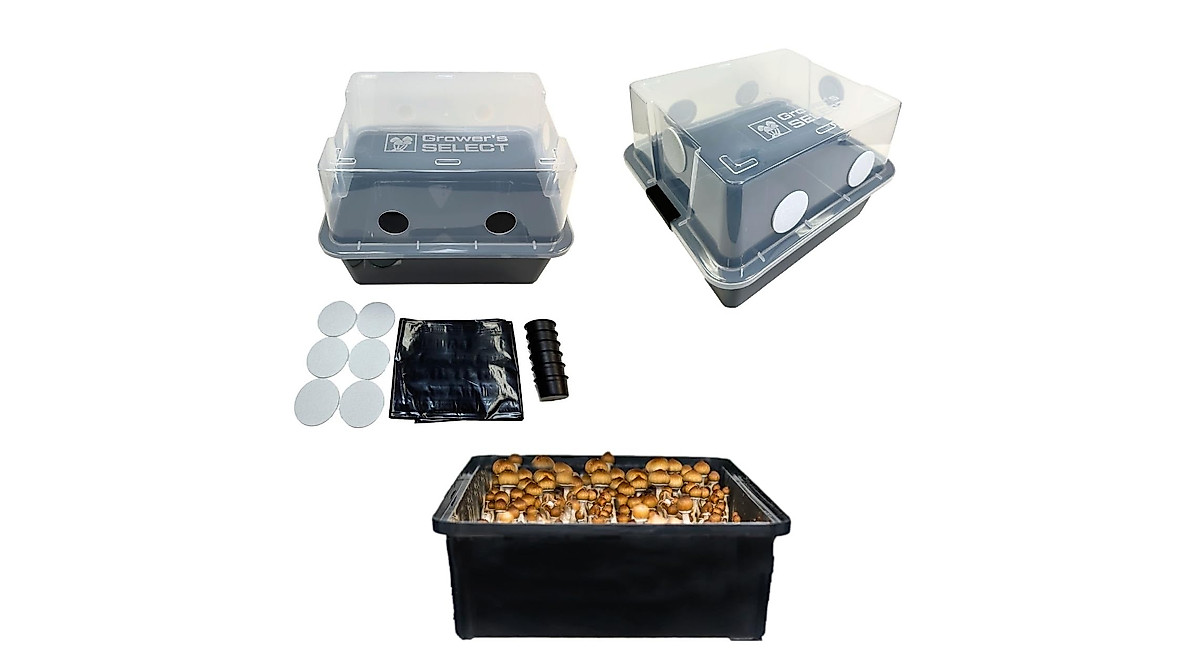 Grower's Select Mushroom Monotub - Optimal Fruiting Chamber