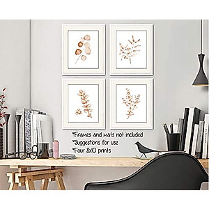 Botanical Prints Wall Art - Watercolor Eucalyptus Leaf Prints (Set of 4) - 8x10 - Unframed