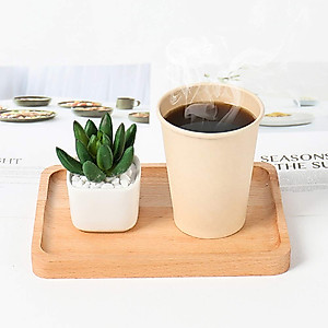 JAYEEY Disposable Coffee Cups Bamboo Paper Cups Coffee Cups, Brown Hot Cups 120 Count 10 OZ Water cups