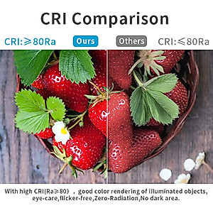 ELINKUME LED G4 Dimmable Bulbs,2W 95LM Warm White Energy Saving Bulb, Equivalent to 20W Halogen Lamp,No Flicker,DC 12V,G4 LED Pin Cap, 360°Beam Angle,10 Packs