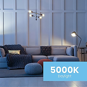 Feit Electric LED Clear A19 Medium Base Light Bulb - 40W Equivalent - 15 Year Life - 450 Lumen - 5000K Daylight - Dimmable | 4-Pack