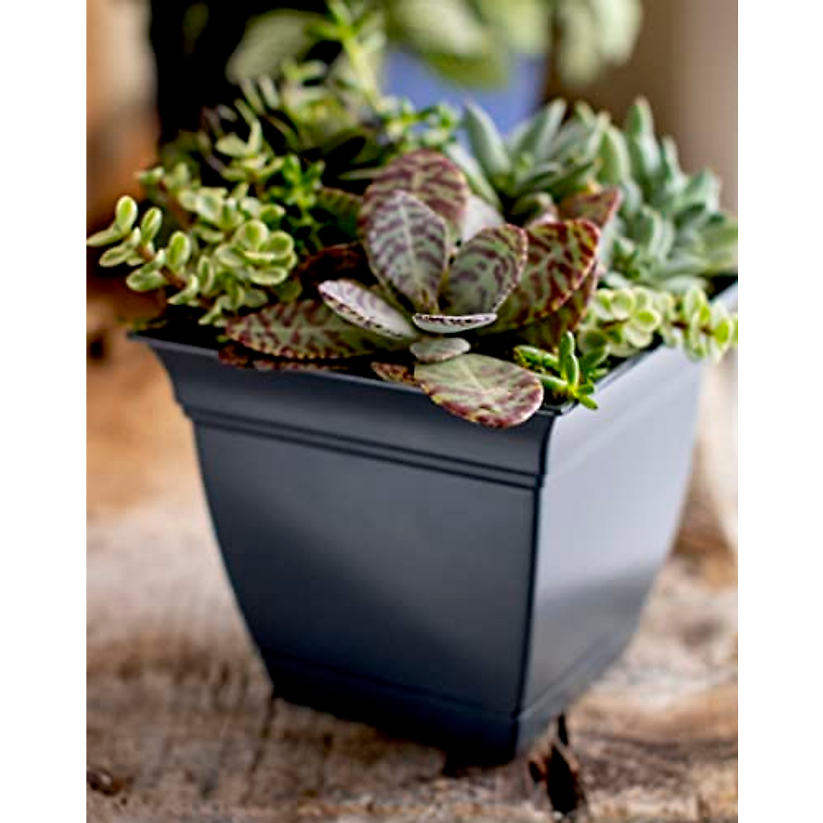 The HC Companies 12 Inch Eclipse Square Planter with Saucer - Indoor Outdoor Plant Pot for Flowers, Vegetables, and Herbs, Black
