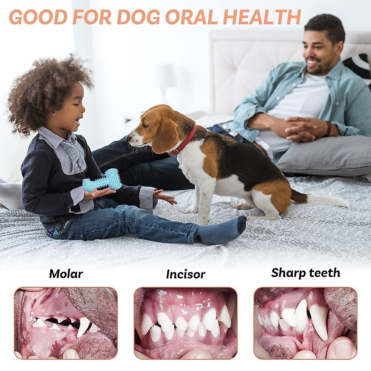 DONGKER Dog Chew Toys,Rubber Dog Toothbrush Stick Interactive Dog Dental Toys for Small Medium Large Dog Aggressive Chewers