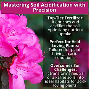 GARDENWISE 8-4-8 Acidic Fertilizer for Azaleas, Camellias (Camelia), Hydrangeas, Blueberries, Gardenias, Magnolia Trees, Evergreens, and Rhododendrons - Ideal Iron-Rich Plant Food (12 OZ)