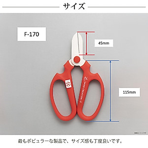 Flower Scissors Hand Creation F-170 (Violet)
