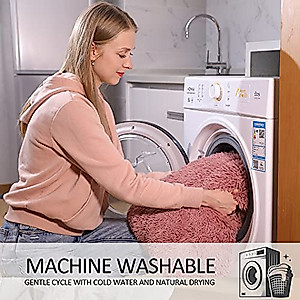 YUSOKI Pink Faux Fur Throw Blanket,2 Layers,50" x 60",Soft Fluffy Fuzzy Cozy Blanket for Women Girls Teens Sofa Chair Couch Bed Farmhouse Decrations Photoshoot Props