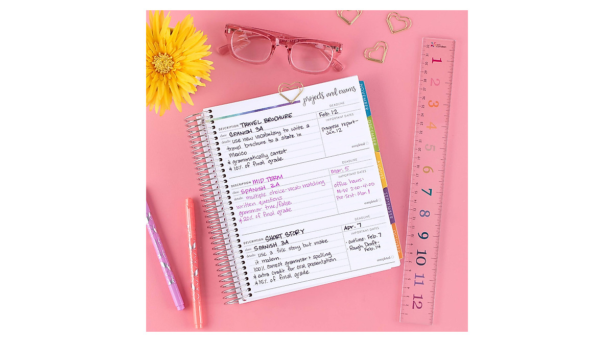 Erin Condren Colorful 12-Inch Ruler - Clear Acrylic, Multi-Color Numbers