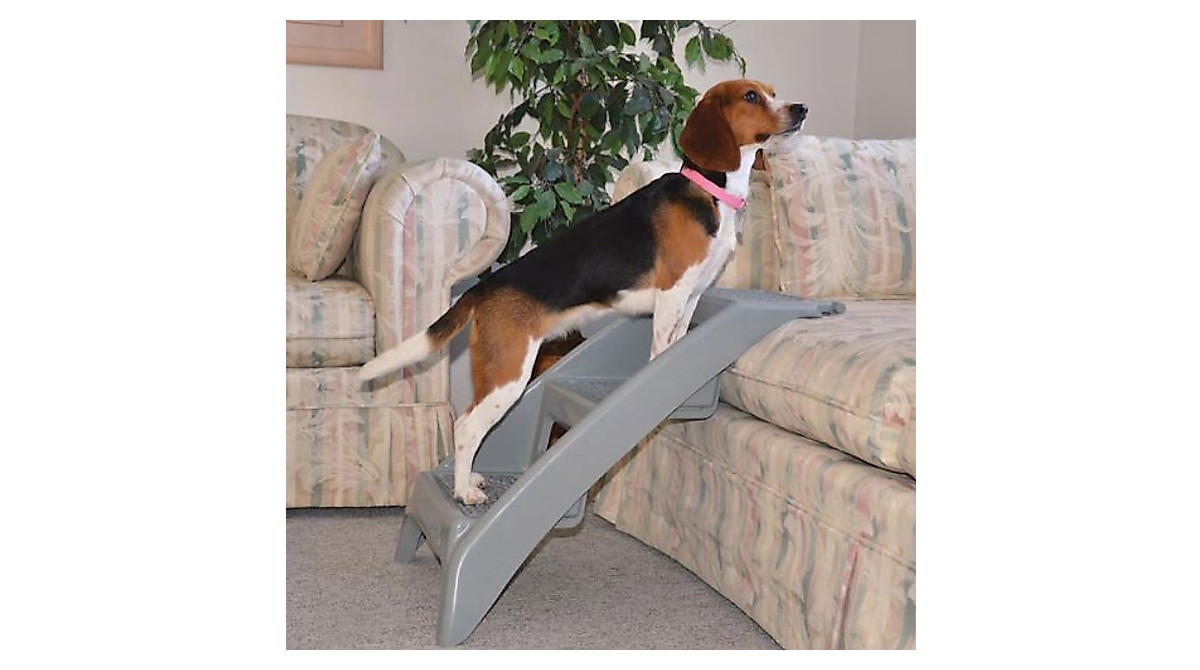 Booster Bath Steps for Safe Dog Grooming