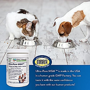 Ultra-Pure MSM for Dogs, Cats & Horses, Supports Hip, Joint and Connective Tissue for Healthy Cartilage and Mobility Opti MSM the Purest in the World by NWC Naturals 1 lb Canister (Model: POWDER)