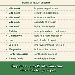 Organic Wheat Grass Seeds, Cat Grass Seeds, 16 Ounces- 100% Organic Non GMO - Hard Red Wheat. Harvested in The US. Easy to Grow Green