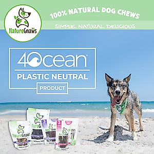 Nature Gnaws Fish Bites for Dogs - Natural Dog Treats – Premium Cod & Salmon Chewy Training Reward – 1 Lb