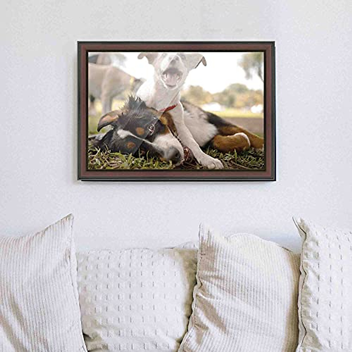 28x37 Brown Real Wood Picture Frame Width 1.25 Inches | Interior Frame Depth 0.5 Inches | Garrin Brown Traditional Photo Frame Complete with UV Acrylic, Foam Board Backing & Hanging Hardware