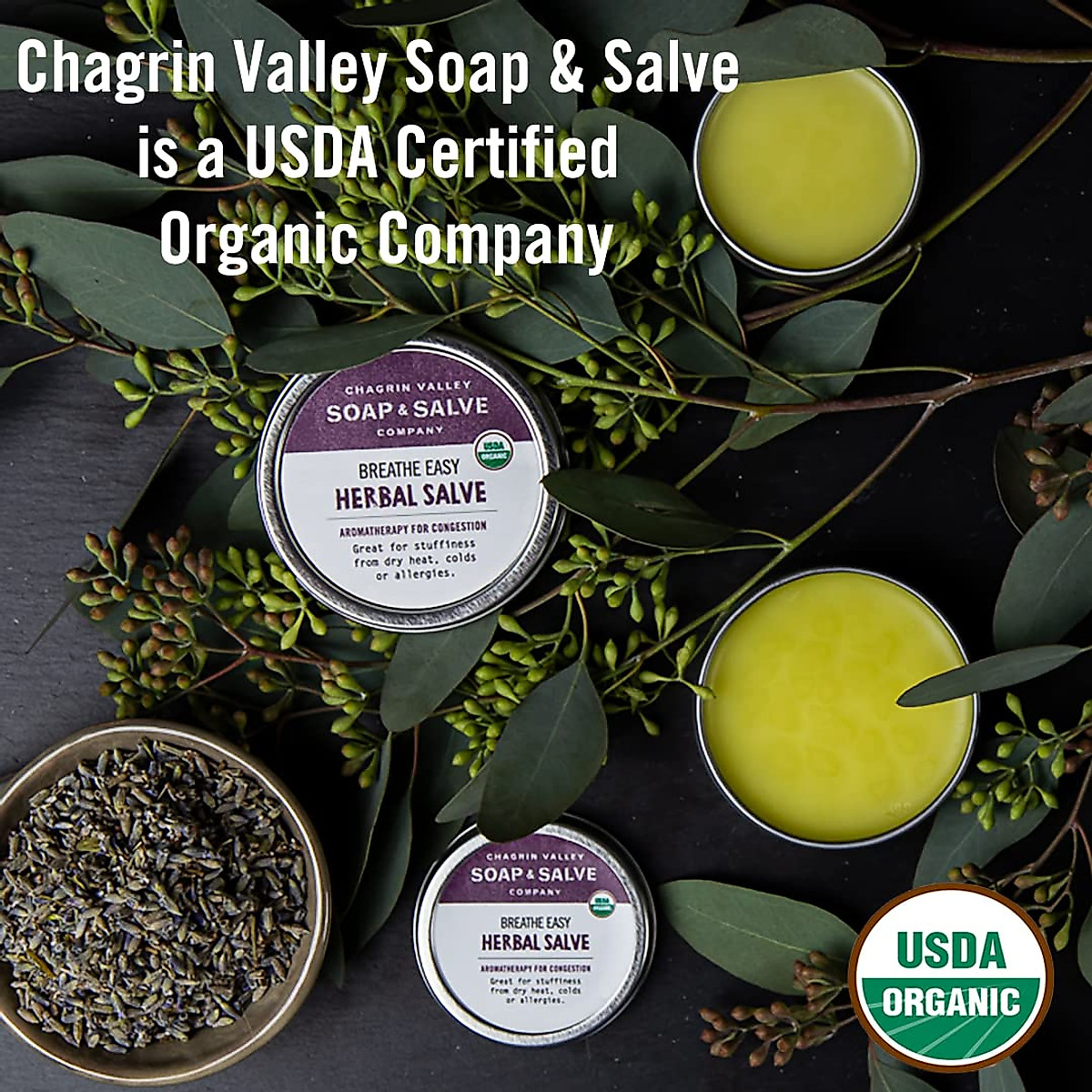 Chagrin Valley Soap & Salve Organic Natural Shampoo Bar - Herb Garden (1 Bar)
