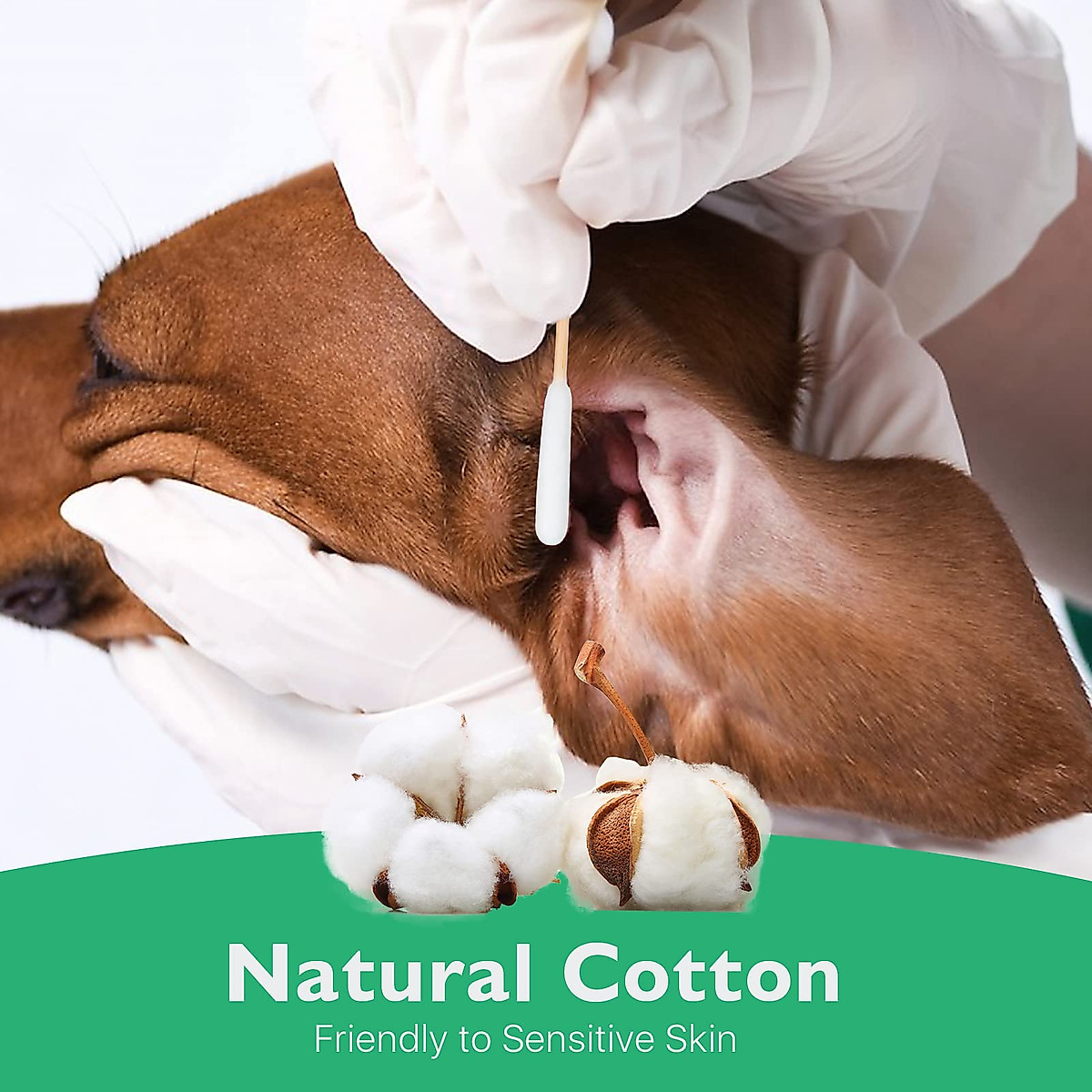 Aemygo 300 Pieces Cotton Swabs for Dogs, 6 Inch Pet Cotton Ear Buds for Puppy Long Qtips for Dogs Ear Cotton Buds Dog Ear Care Cotton Sticks for Apply Medicine, Clean Wound