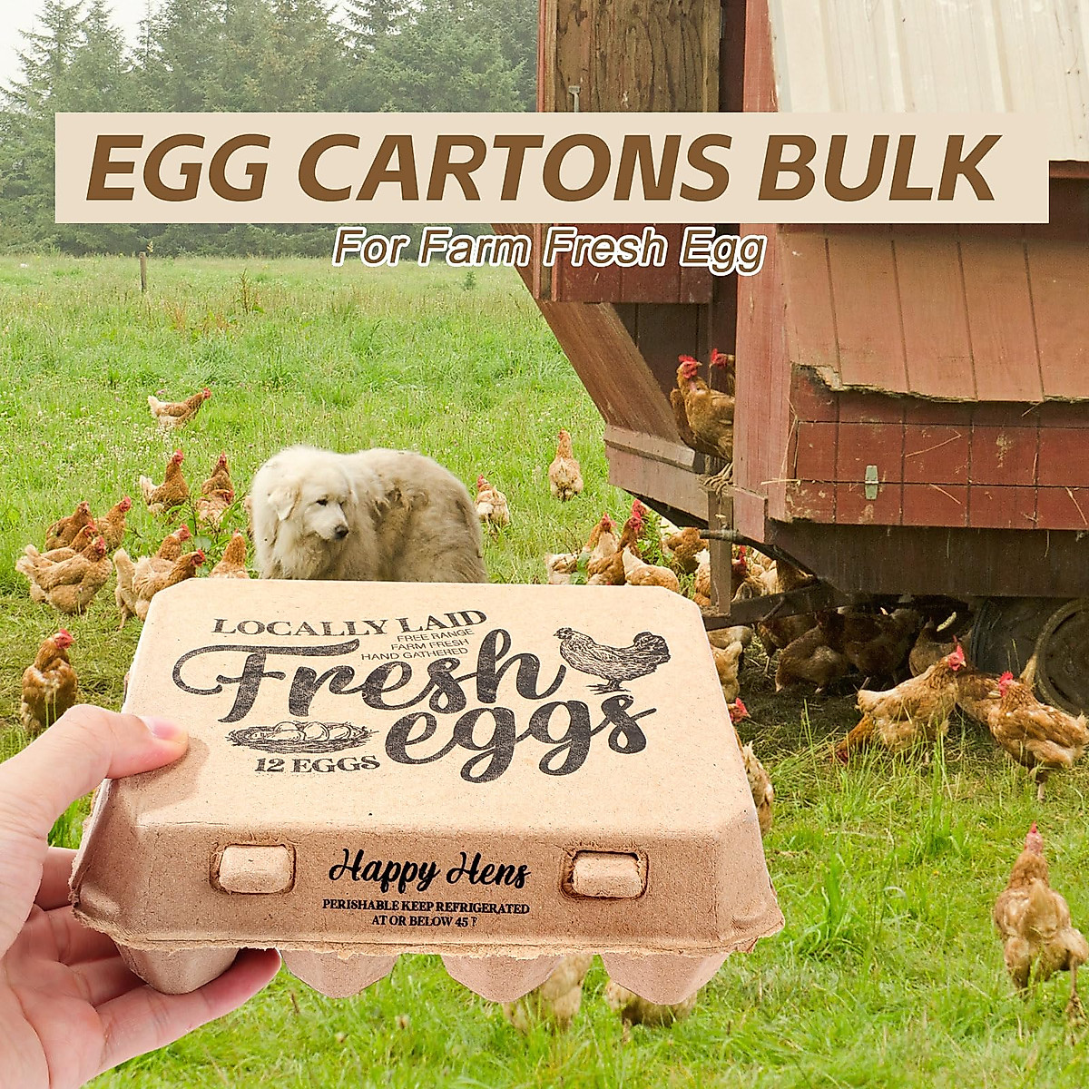 Zhanmai 25 Pcs Natural Paper Pulp Egg Cartons Blank Bulk Square Chicken Egg Cartons 12 Count Dozen Vintage Classical 3 x 4 Style Cardboard Egg Tray for Family Farm Market Storing