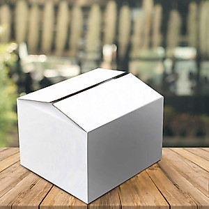 PETAFLOP Cardboard Boxes 6x4x4 Shipping Boxes White Kraft Corrugated Small Mailer Boxes, 25 Pack
