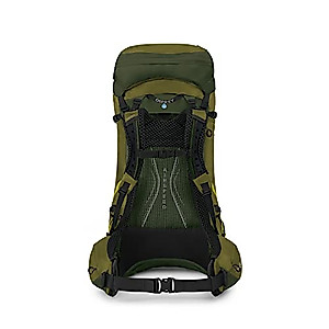 Osprey Atmos AG LT 50L Men's Backpacking Backpack, Scenic Valley/Green Peppercorn, L/XL