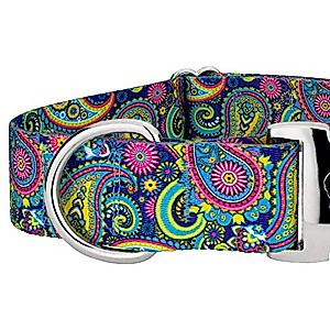 Country Brook Petz - 1 1/2 Inch Premium Bright Paisley Dog Collar, Large