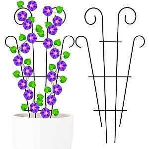 Mklsit 24'' Plant Trellis for Potted Plants, Indoor/Outdoor Garden Trellis for Climbing Plants, Sturdy Metal Pot Trellis for Houseplants Flowers Climbing Vines Ivy, Pack of 2, Black