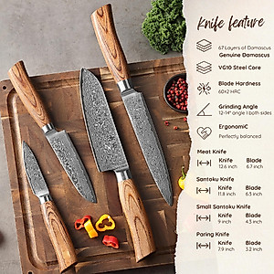 Wakoli Kitchen Knife Set, 4 Pieces Professional Chef Knife Set made from 67 Layers of Damascus Steel with VG10 Core, Damascus Knife with Ergonomic Pakkawood Handles in Wooden Gift Box (EDIB Pro 4-pcs)