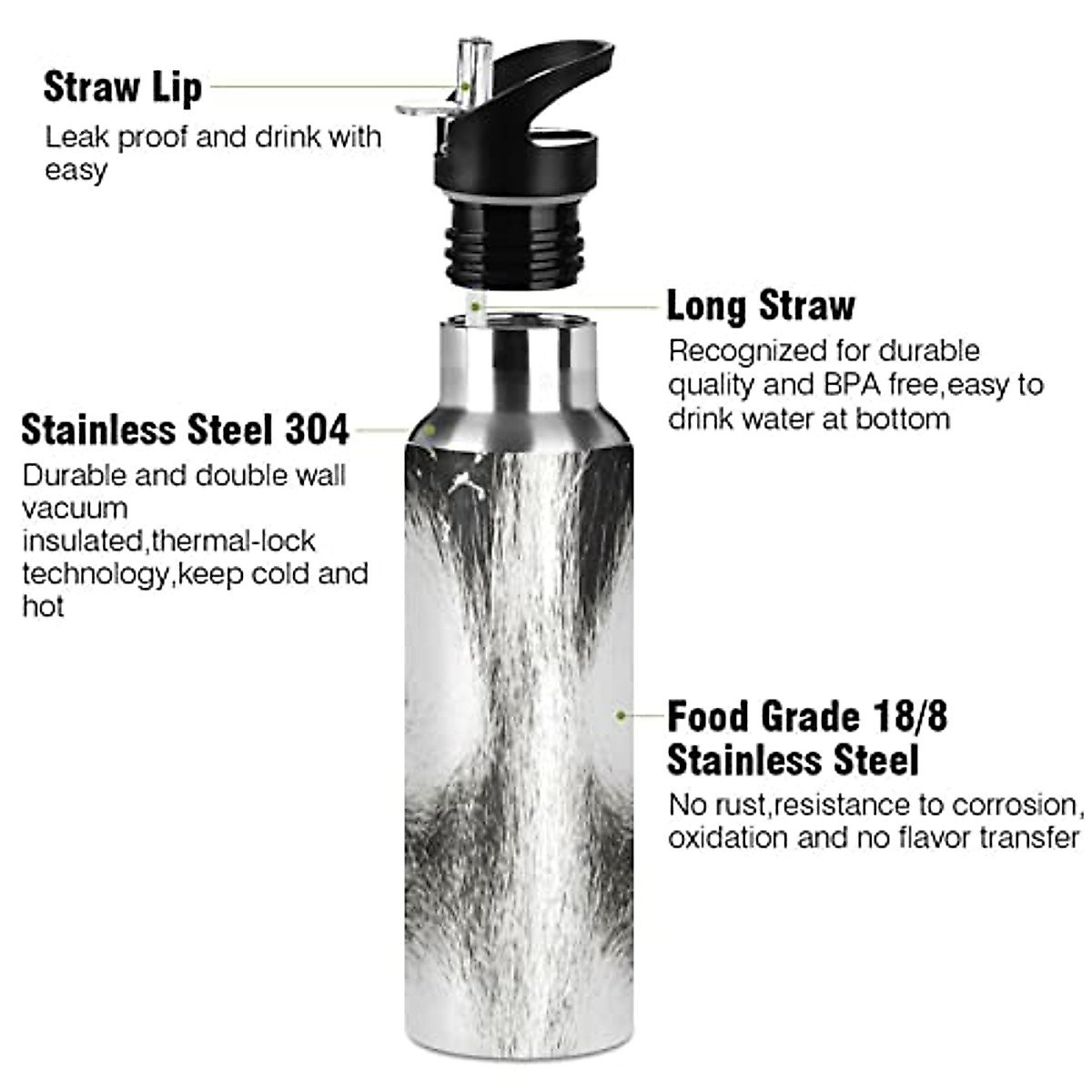 Oarencol Dog Blue Eyes Huskie Animal Water Bottle Stainless Steel Vacuum Insulated Thermos with Straw Lid 20 Oz