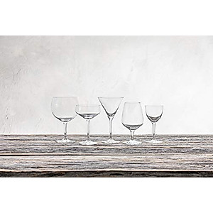 Schott Zwiesel Basic Bar Designed by World Renowned Mixologist Charles Schumann Tritan Crystal Glass Cocktail Cup, 8.8-Ounce, Set of 6