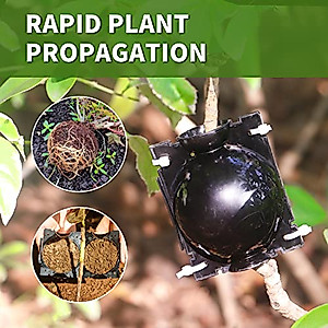 Plant Root Growing Box 20 PCS, Reusable Rooting Ball for Garden Grafting Growing, Plant High Pressure Propagation Ball for Rooting, Black (15S+5M+50 PCS Cable Zip Ties)