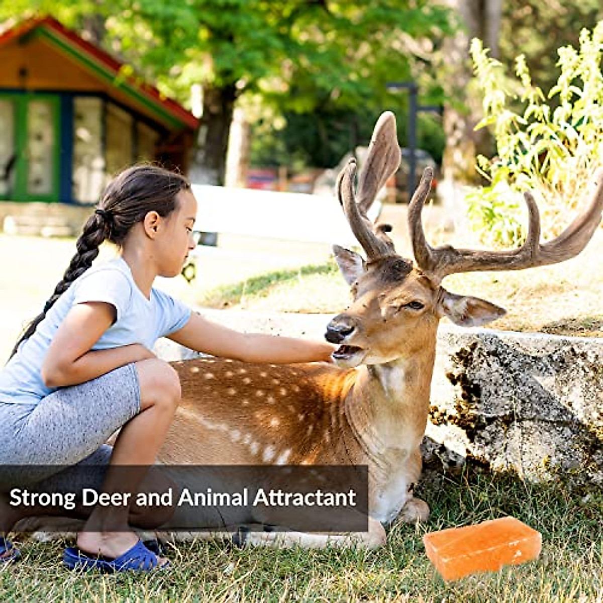 Himalayan Nature Licking Salt for Deer - 2 Pack