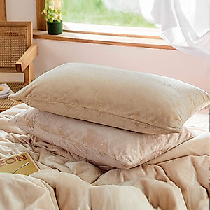 FLXXIE 2 Pack Standard Zipped Velvet Pillowcases, Soft and Cozy Solid Decorative Pillow Cases with Hidden Zipper for Bedroom, Sofa, Couch, 20x26 Inches, Camel