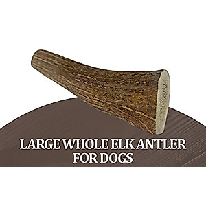 WhiteTail Naturals | Large, Whole Elk Antlers for Dogs | Dog Chews | Naturally Shed Antler Bone Chew Toy