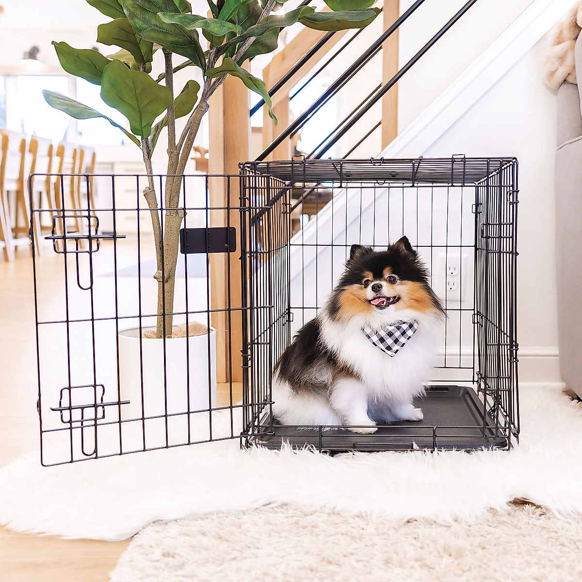 Carlson Pet Products SECURE AND FOLDABLE Single Door Metal Dog Crate, Small, 24.0"L x 18.0"W x 19.0"H