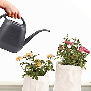 Fasmov Plastic Watering Can, Grey, 1-Gallon